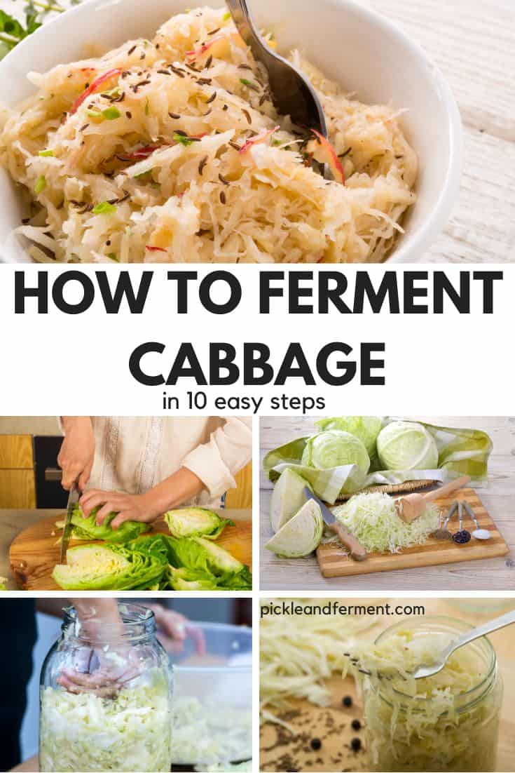 How to Ferment Cabbage for Maximum Probiotics in 10 Easy Steps – Pickle ...