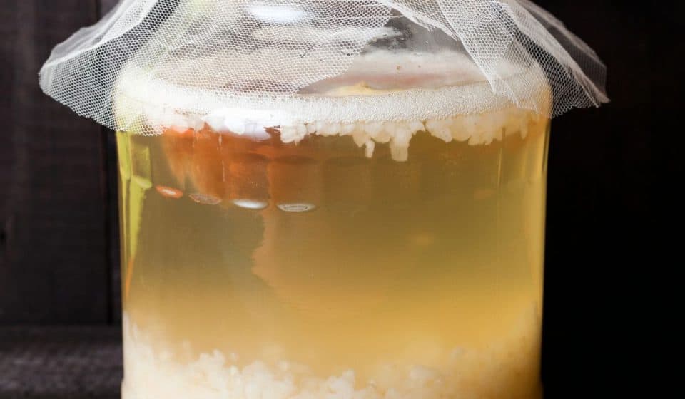 Water Kefir Guide: Benefits, Recipe, FAQ’s & More – Pickle & Ferment