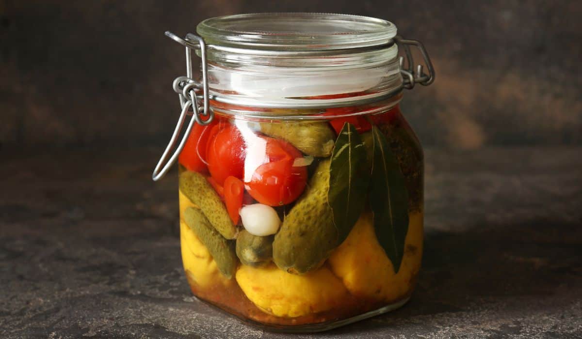 Do Light And Heat Help Fermentation? Full Guide – Pickle & Ferment
