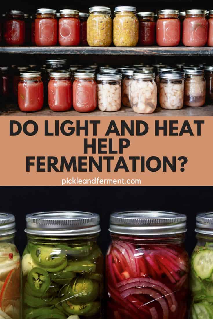 Do Light And Heat Help Fermentation? Full Guide – Pickle & Ferment