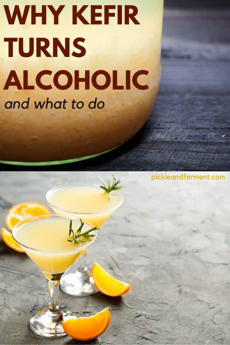 Why Kefir Can Turn Alcoholic And What To Do – Pickle & Ferment