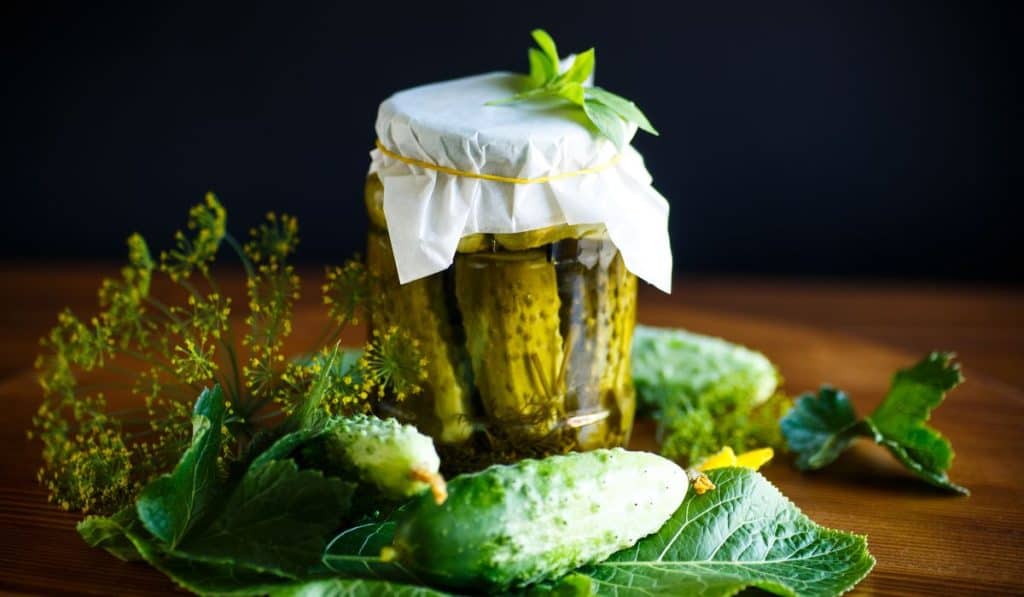 Fermenting Vs Pickling Which Is Better Pickle Ferment
