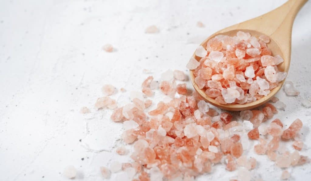 5 Best And Worst Salts For Making Brine – Pickle & Ferment