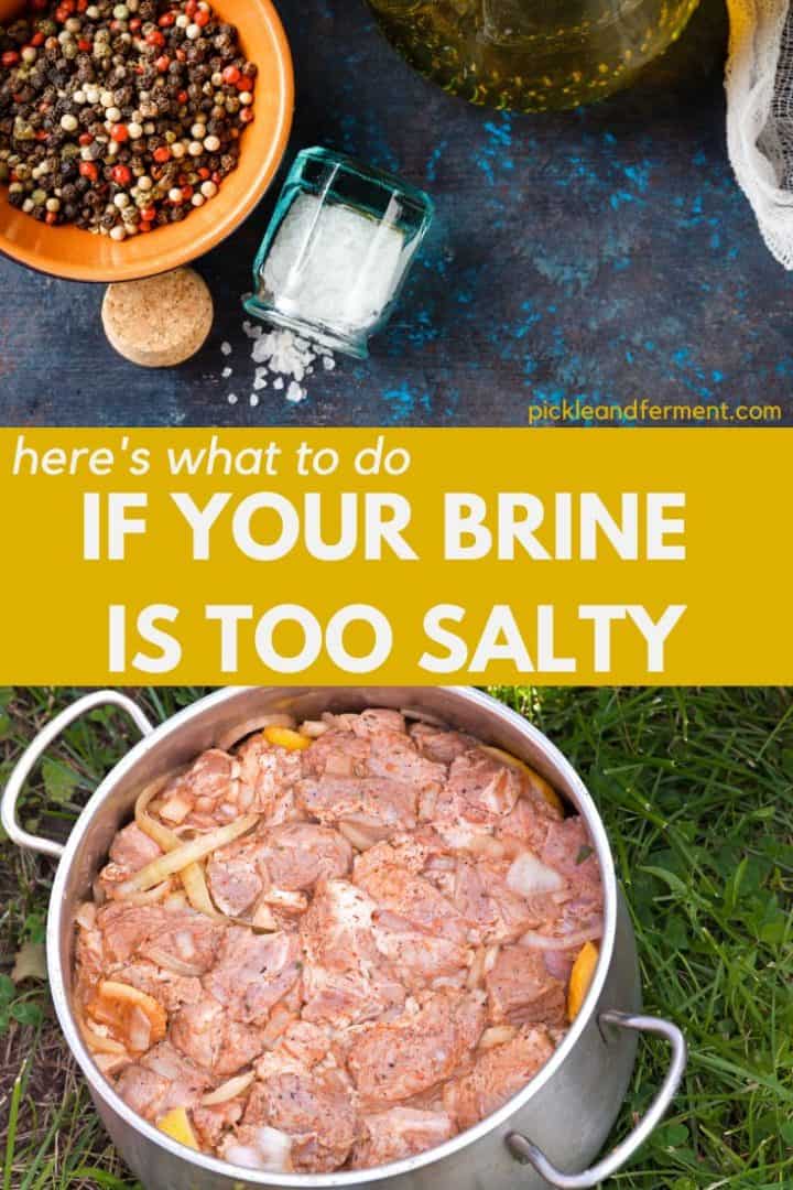Here’s What To Do If Your Brine Is Too Salty – Pickle & Ferment