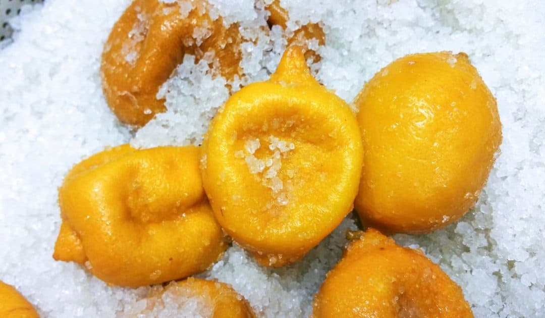 No Salt? Ferment Your Food Anyway! – Pickle & Ferment