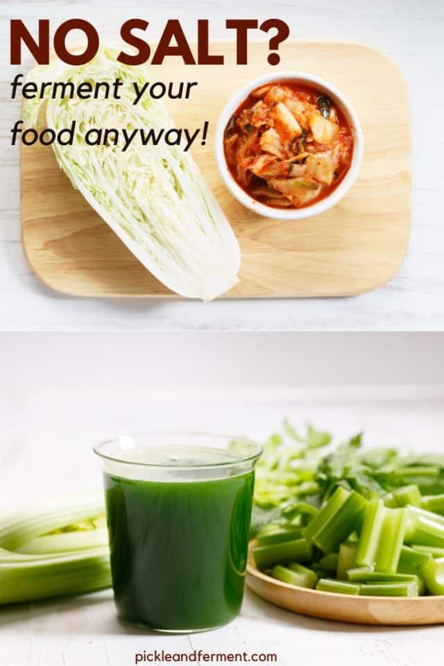 No Salt? Ferment Your Food Anyway! – Pickle & Ferment